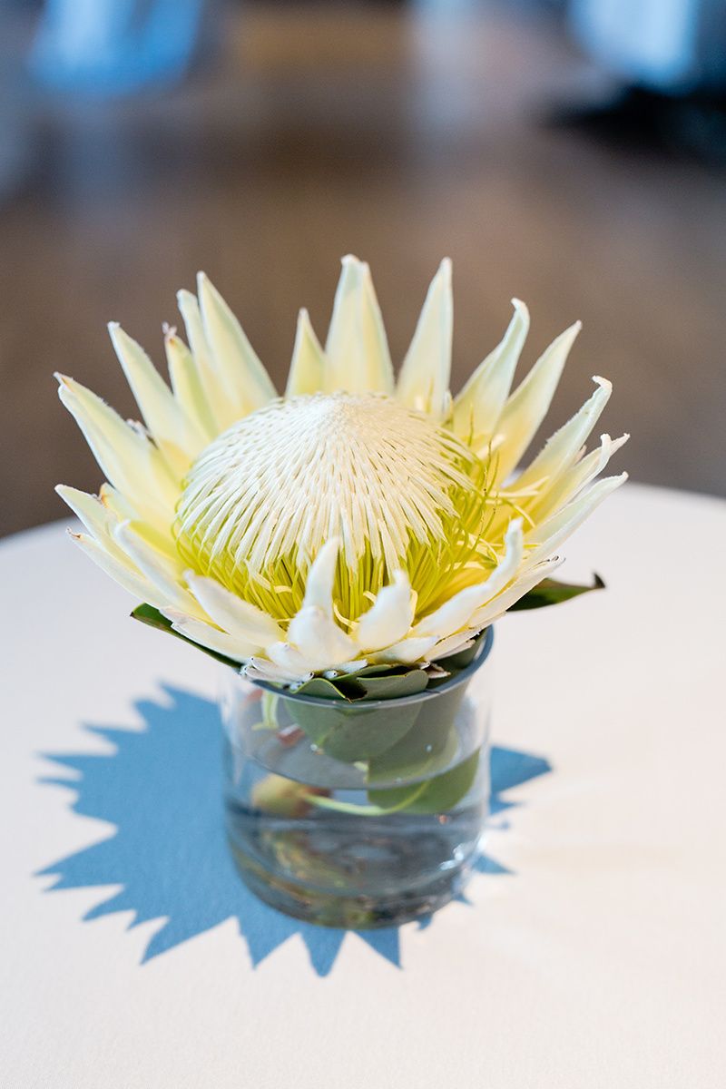 Emily & Daring Wedding – Battello Jersey City NJ – Lathryus Vine Protea ...