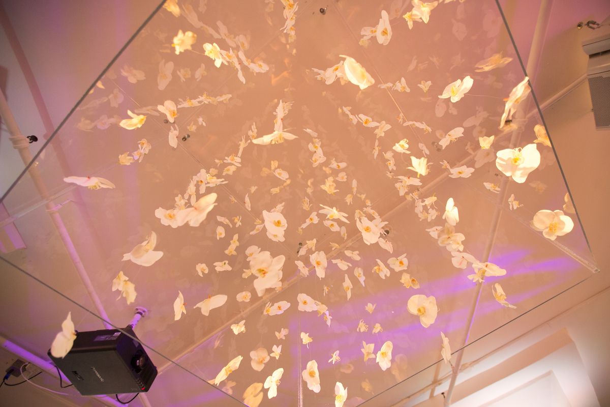 Sophia & Sam Wedding – Floral Chandelier Plexi Box with Phalaenopsis ...