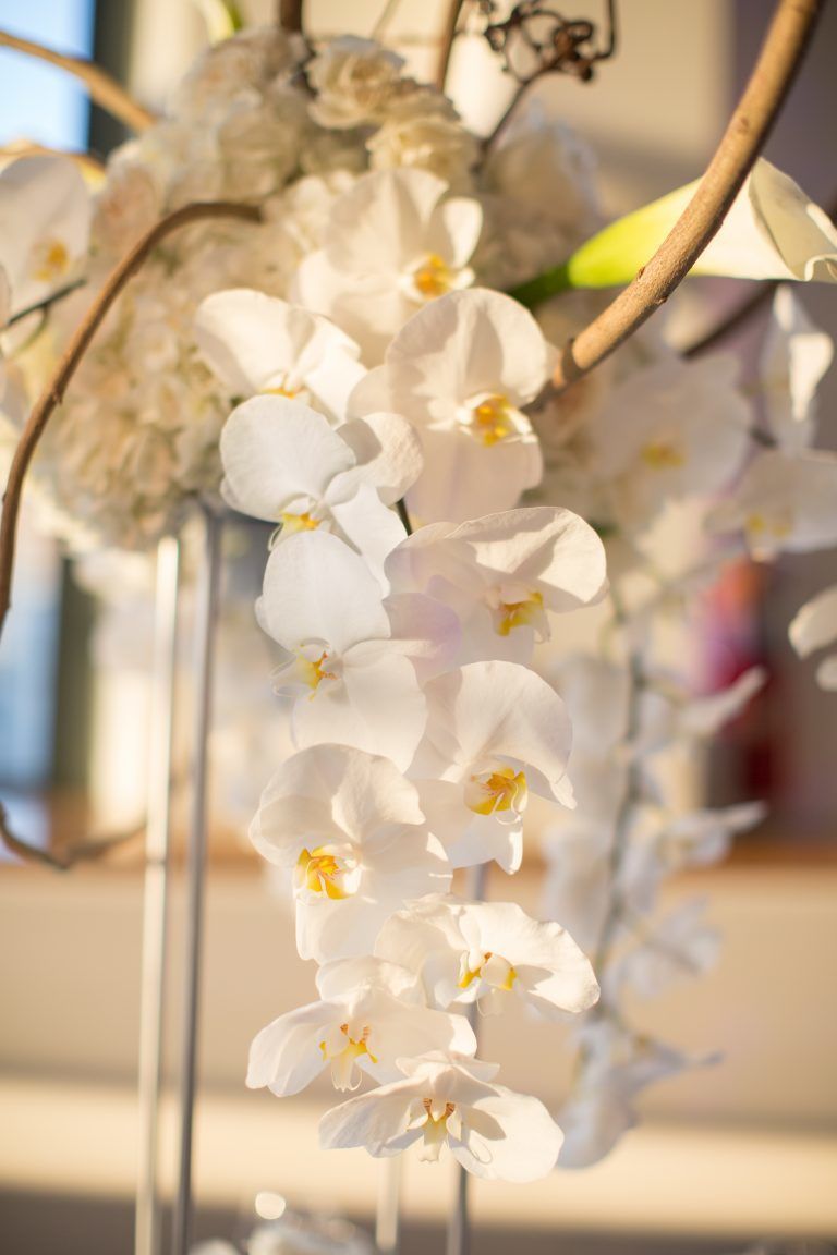 Sophia & Sam: Understated Glamour at Tribeca 360 | by Bride & Blossom ...